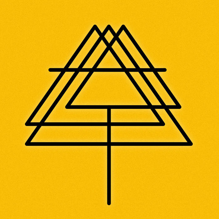 A N I M A is not about yet another “Star” | Interview with Anima ...