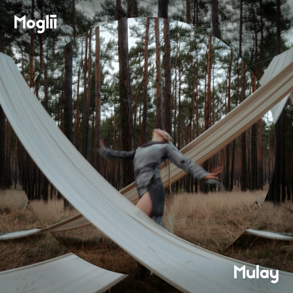 ‘organic, soulful, melodic’ | Interview with Moglii – Secret Eclectic